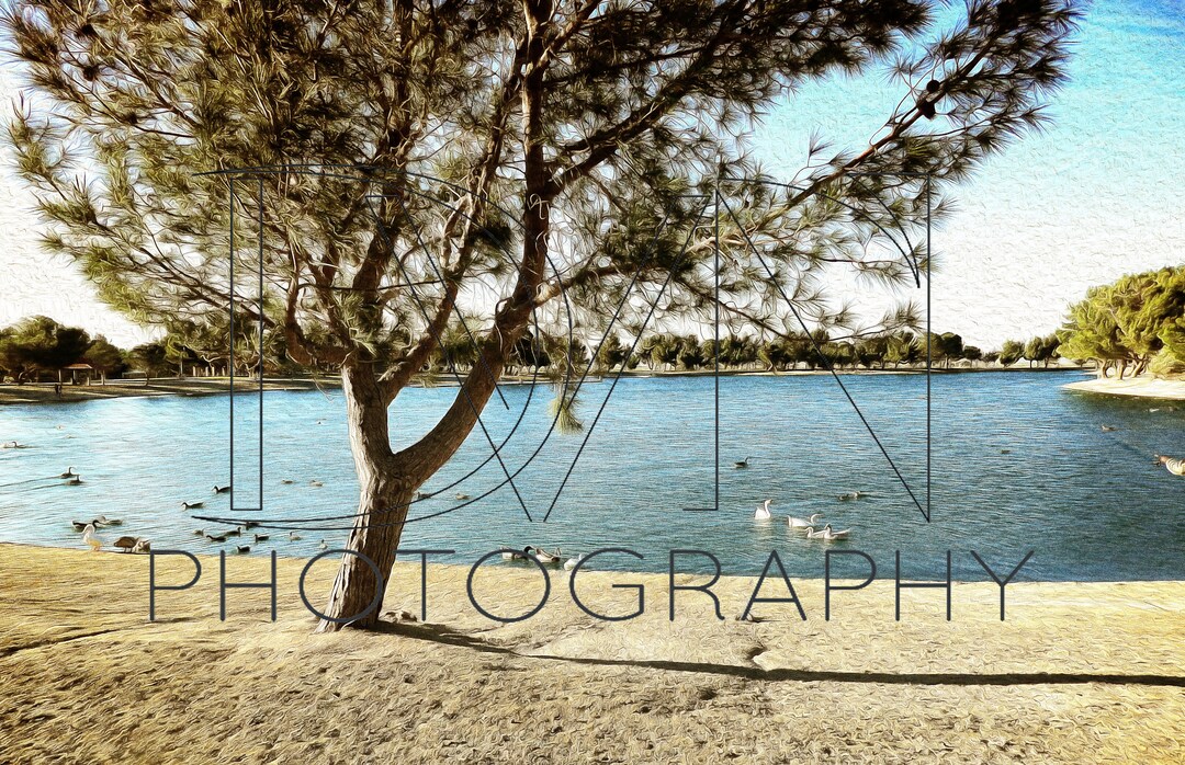 8x10 Landscape Photography, Fine Art, Nature Home Decor, Wall Art, Oil ...