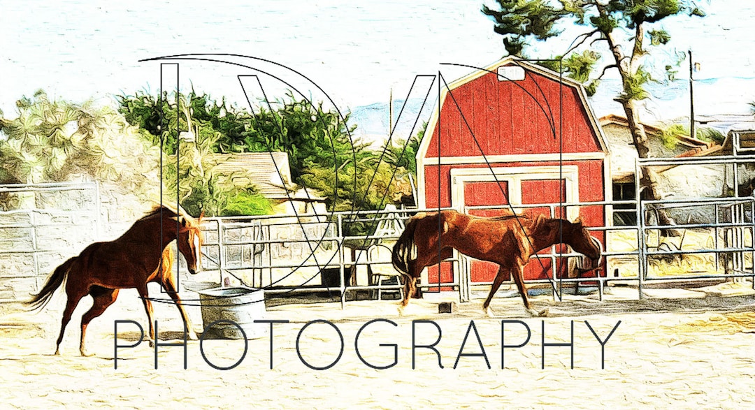 8x10 Landscape Photography Fine Art Nature Home Decor Wall - Etsy