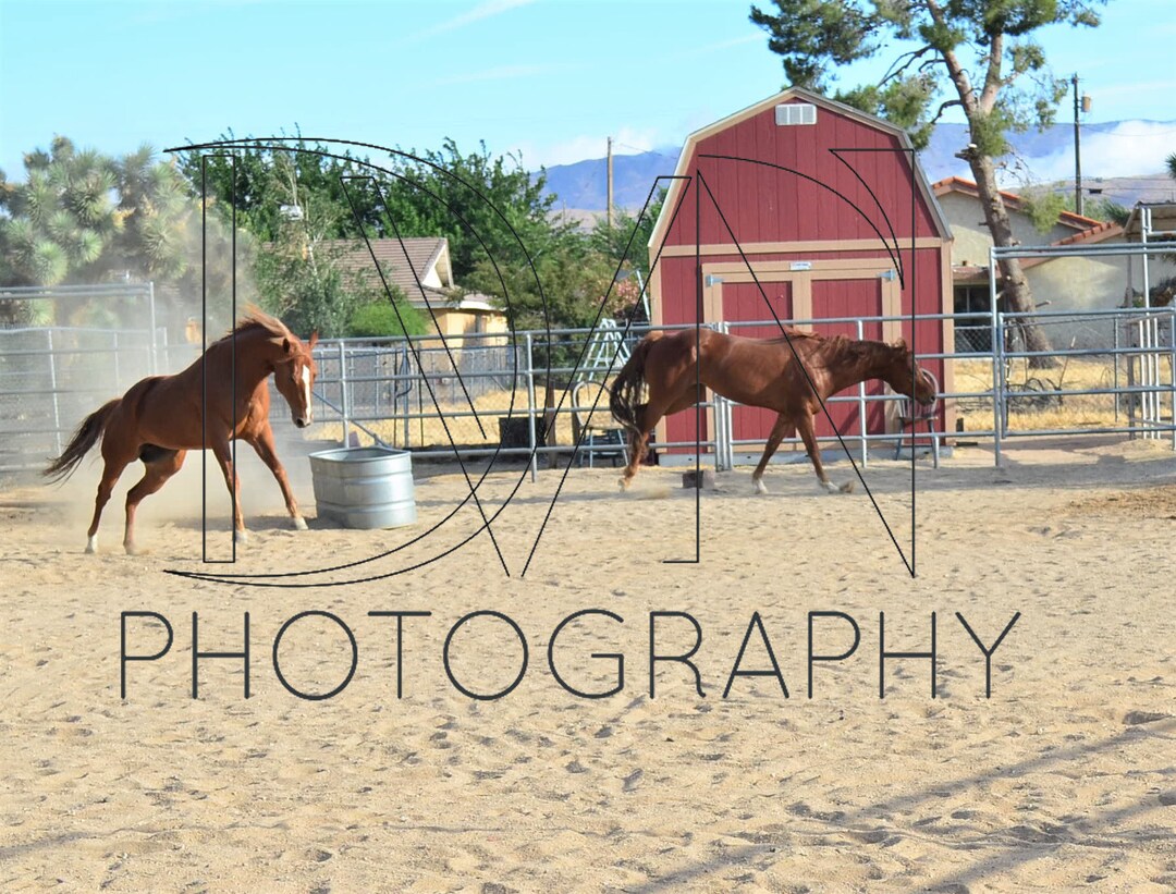 8x10 Landscape Photography, Fine Art, Nature Home Decor, Wall Art - Etsy