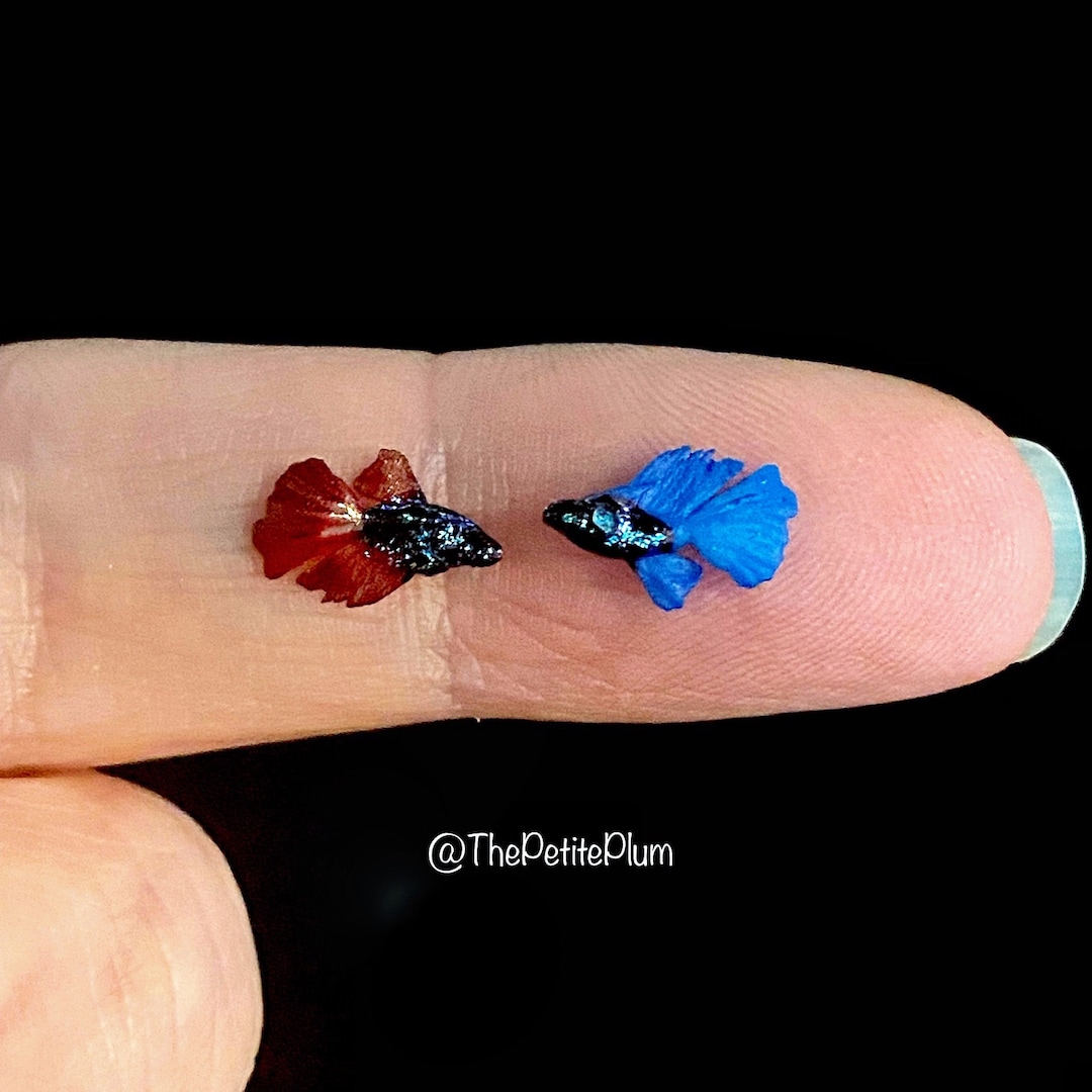 Miniature / Betta / Fish / Pet / Animals / Miniatures / Dollhouse ...