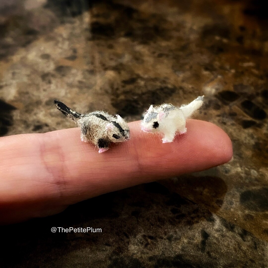 Miniature / Sugar Glider / Flying Squirrel / Dollhouse/ Miniatures ...