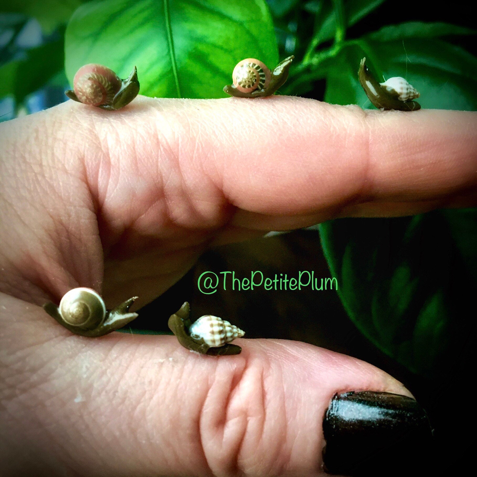 Miniature Snail / Handmade / Polymer Clay / Dollhouse / Fairy - Etsy