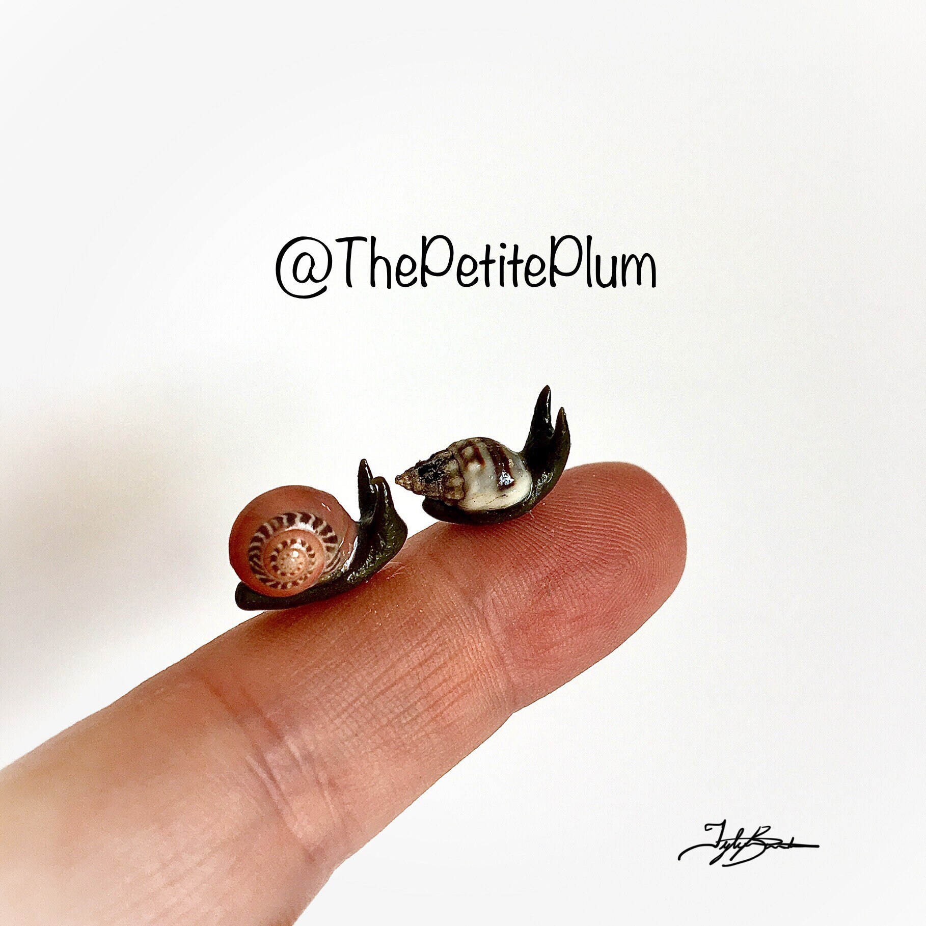 Miniature Snail / Handmade / Polymer Clay / Dollhouse / Fairy - Etsy