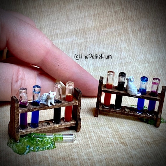 Miniature / Science / Lab / Mouse / Rat / Potion / Dollhouse / - Etsy