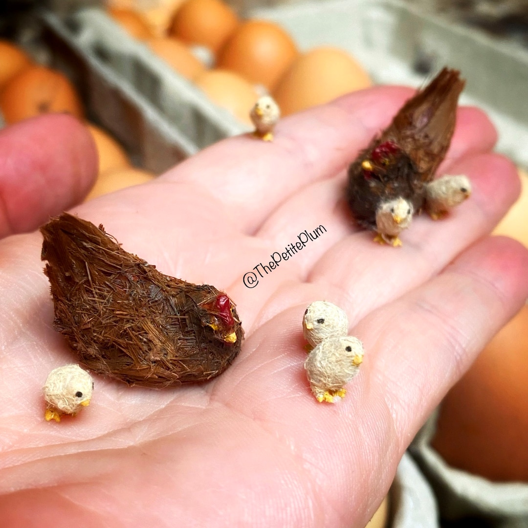 Miniature / Chicken / Bird / Birds / Animal / Hen / Chicks / Dollhouse ...