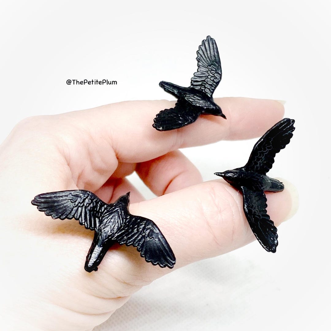 Miniature / Raven / Crow / Bird / Birds / Animal / Nature / Mini ...