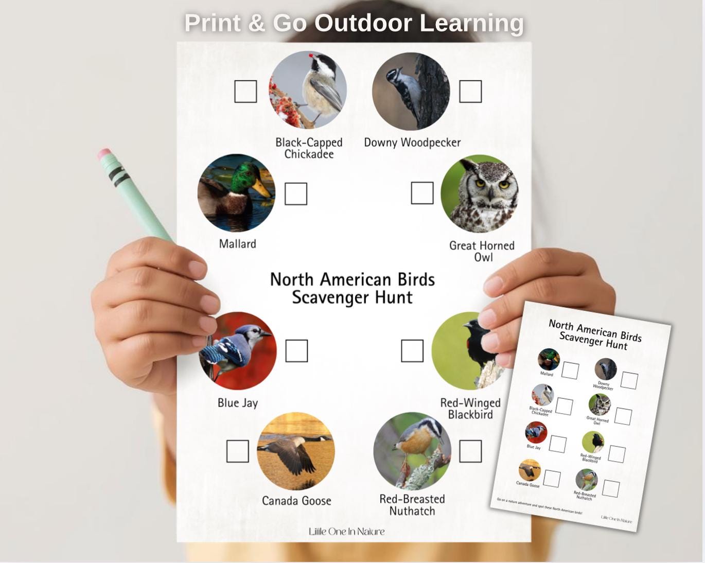 Bird Watching Scavenger Hunt Printable for Kids | North American Bird ...