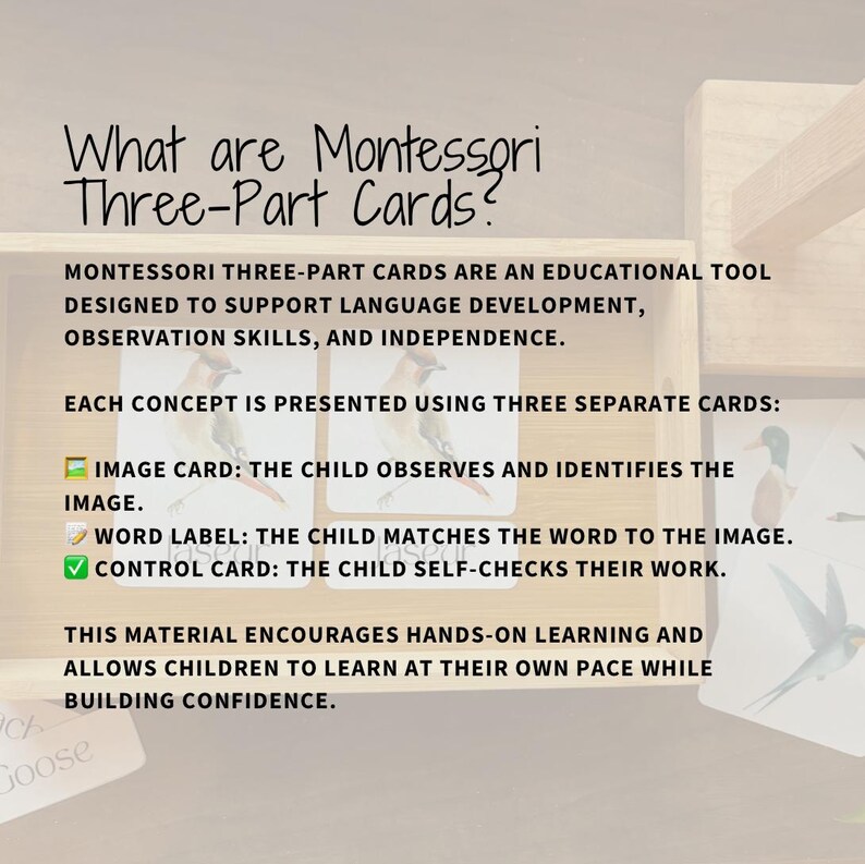 Montessori Bird 3 Part Cards – Nature Printable Flashcards – Preschool ...