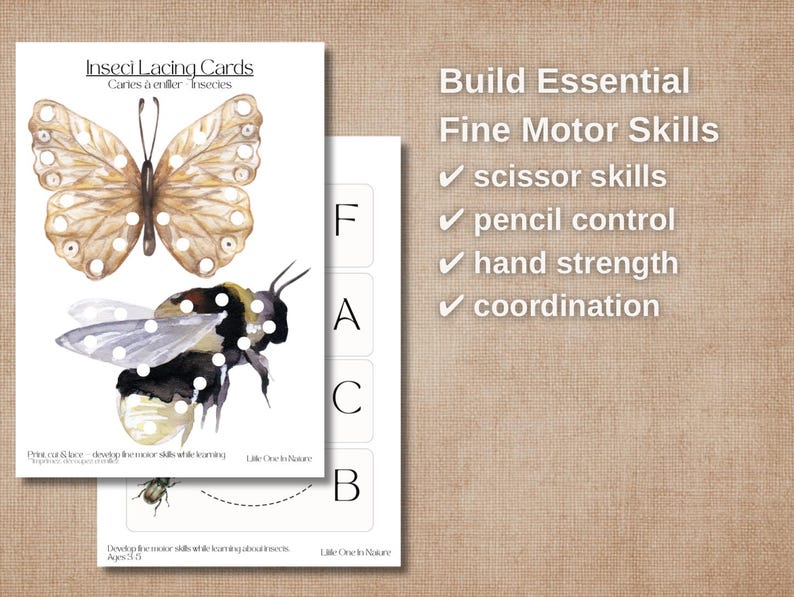 Insect Fine Motor Bundle Printable, Scissor Skills, Tracing, Lacing ...