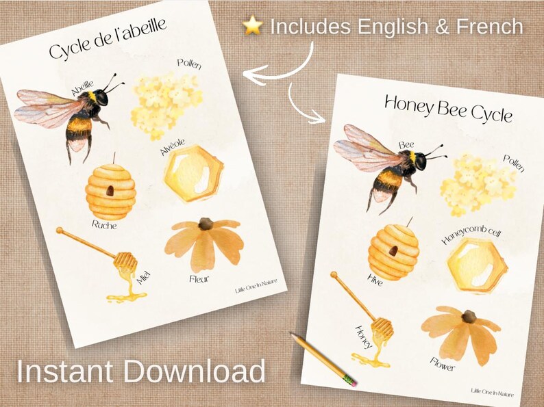 Bee Life Cycle Poster Printable | Honey Bee Educational Chart ...