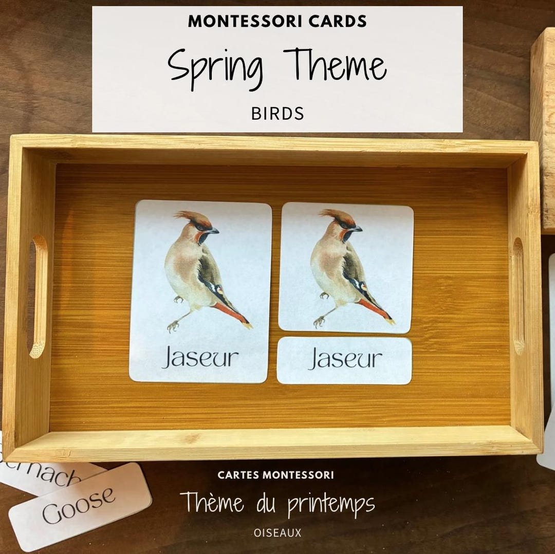 Montessori Bird 3 Part Cards – Nature Printable Flashcards – Preschool ...