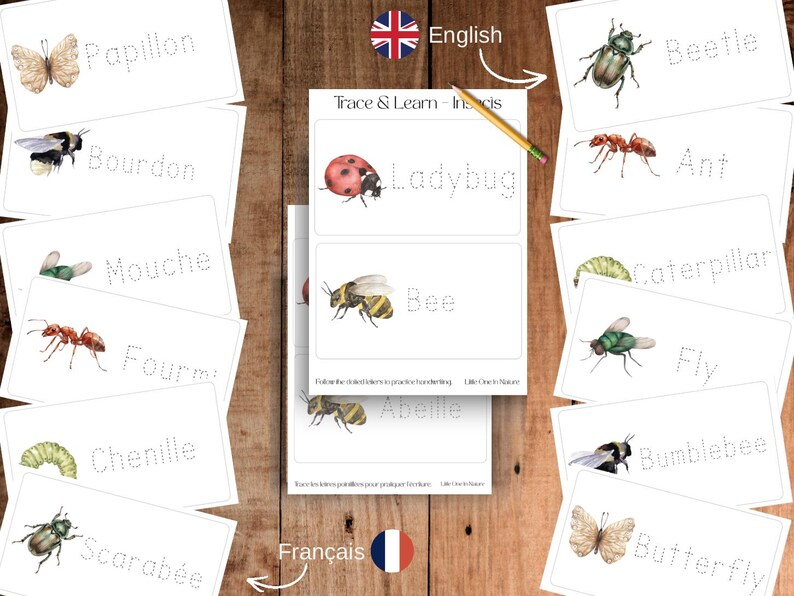 Insect Tracing Flashcards – Nature Handwriting Practice – Montessori ...
