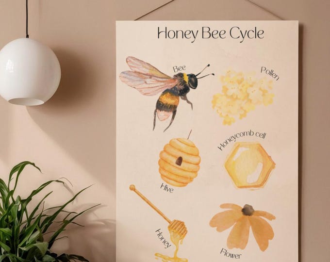 Bee Life Cycle Poster Printable | Honey Bee Educational Chart ...