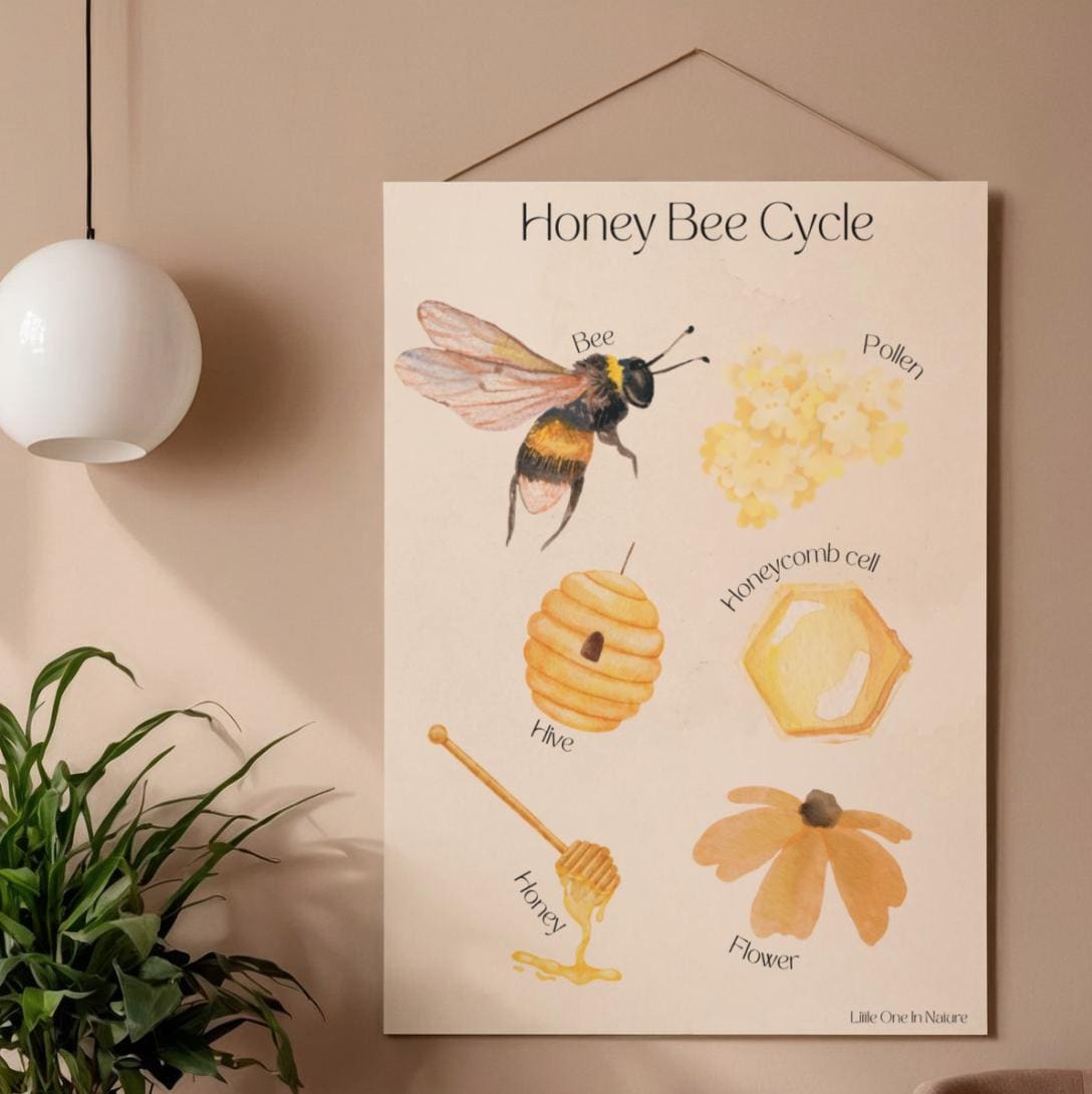 Bee Life Cycle Poster Printable | Honey Bee Educational Chart ...