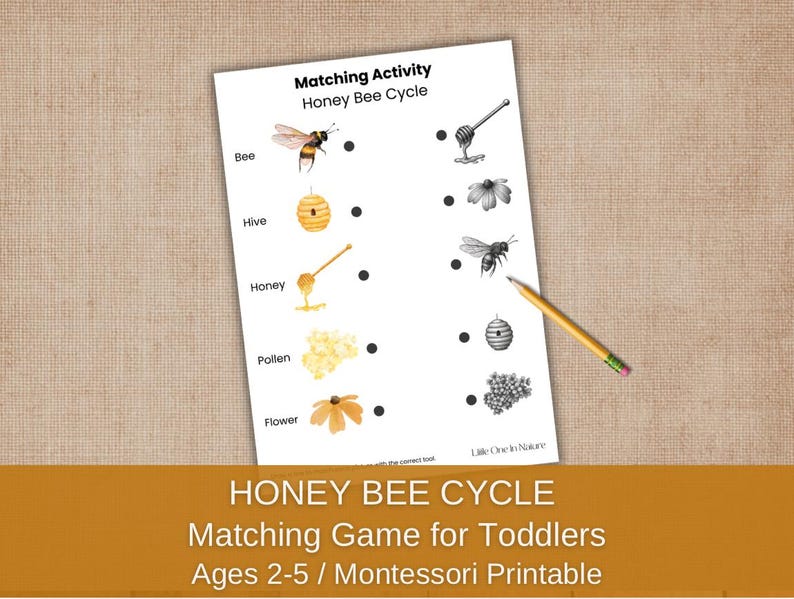 Bee Matching Game Printable | Bee Life Cycle Activity | Preschool ...