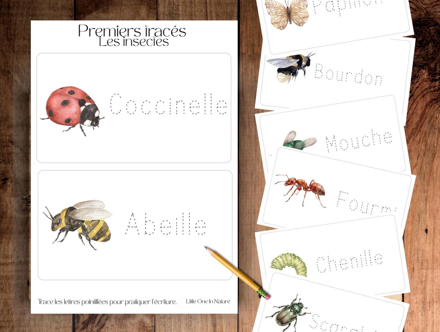 Insect Tracing Flashcards – Nature Handwriting Practice – Montessori ...