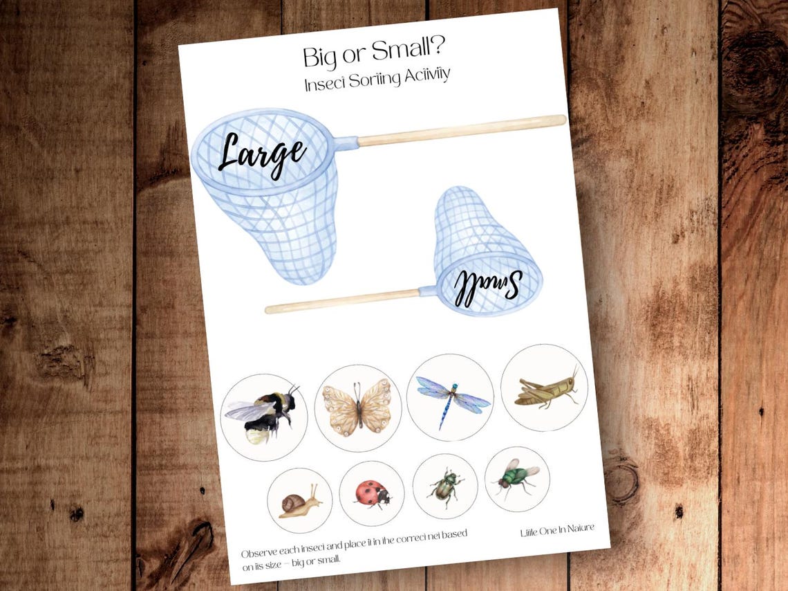 Montessori Insect Sorting Activity Printable – Big or Small Game ...