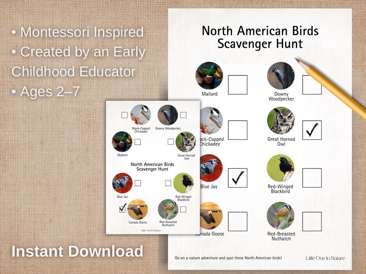 Bird Watching Scavenger Hunt Printable for Kids | North American Bird ...