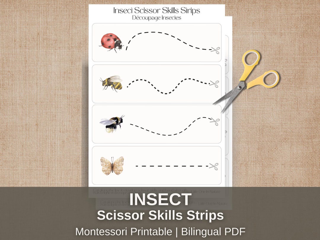Insect Scissor Skills Cutting Strips Printable, Preschool Fine Motor ...