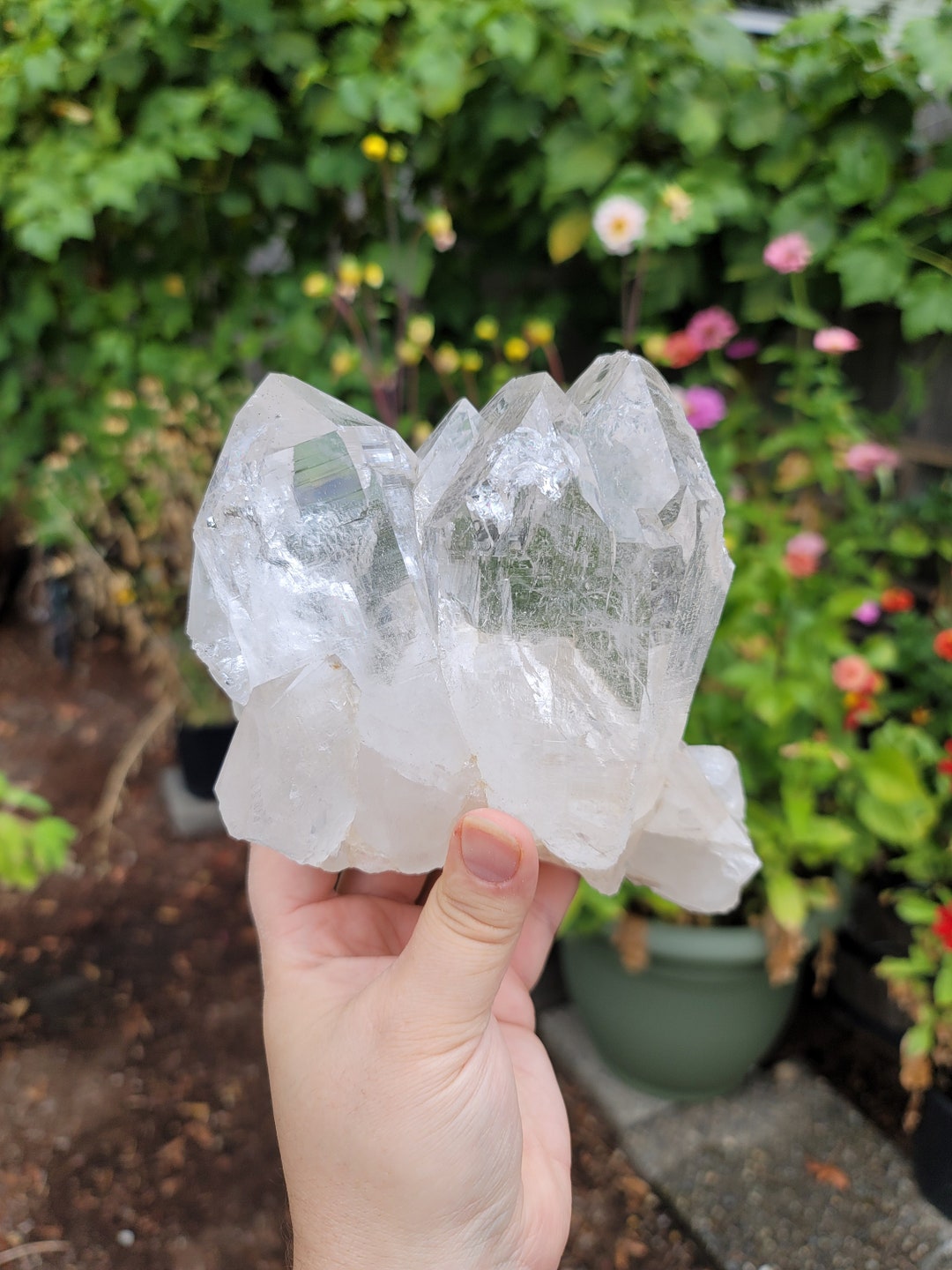 Water Clear Himalayan Quartz Cluster With Anatase # C-926 - Etsy
