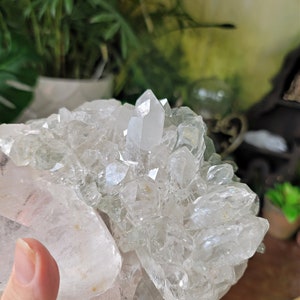 Stunning Himalayan Quartz Cluster With Chlorite # C-981 - Etsy