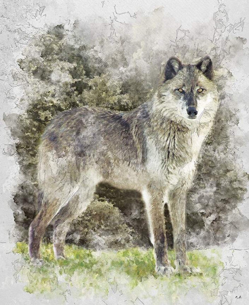 Nature's Window Wolf Panel - Etsy