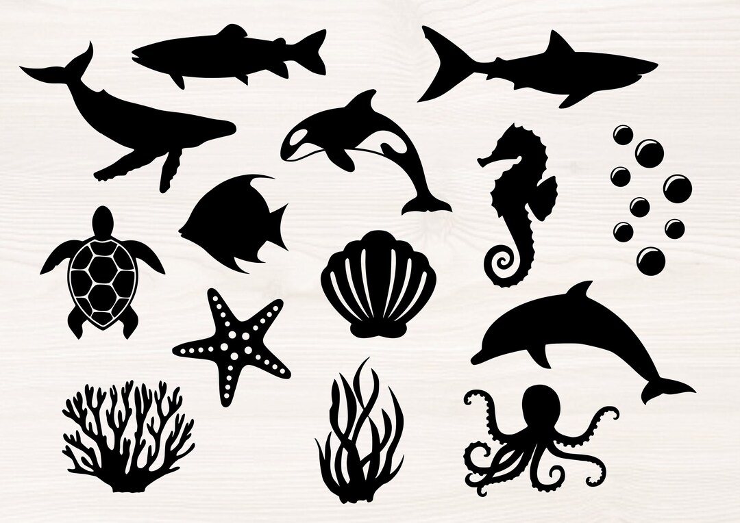 Ocean Animals Bundle, SVG PNG Files for Cutting Machines, Digital ...