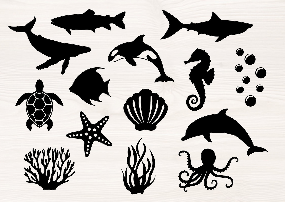 Ocean Animals Bundle SVG PNG Files for Cutting Machines - Etsy