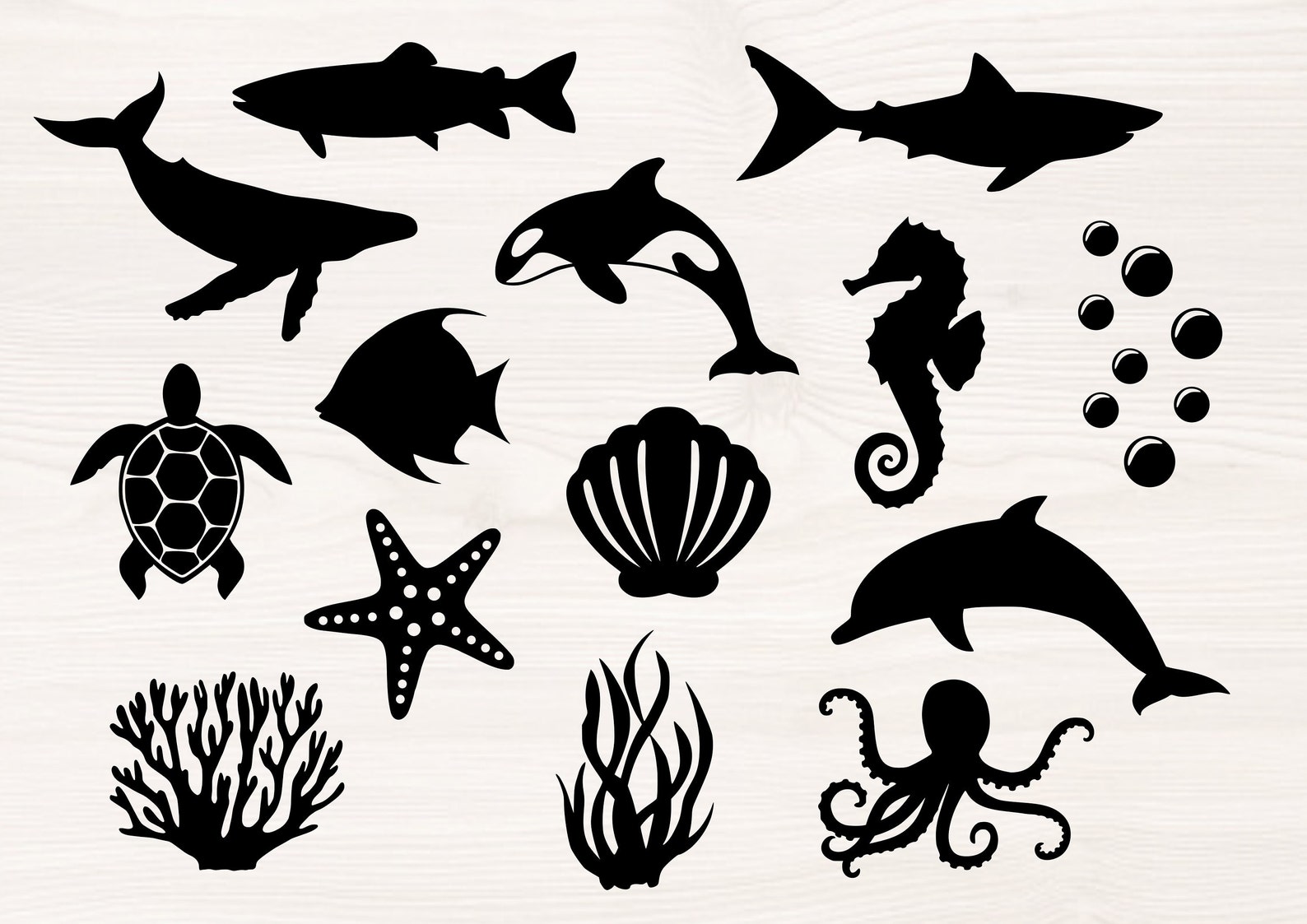 Ocean Animals Bundle SVG PNG Files for Cutting Machines - Etsy