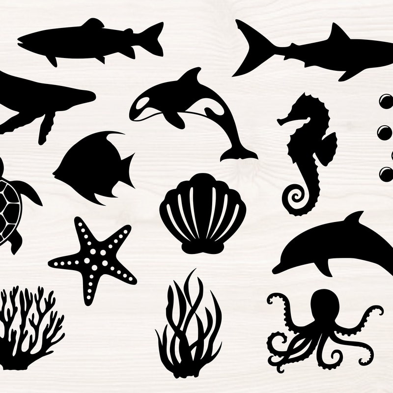 Ocean Animals Svg - Etsy