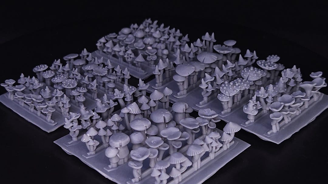 3D Printed Mushrooms for Miniatures (more Than 100 Shrooms!) - Etsy