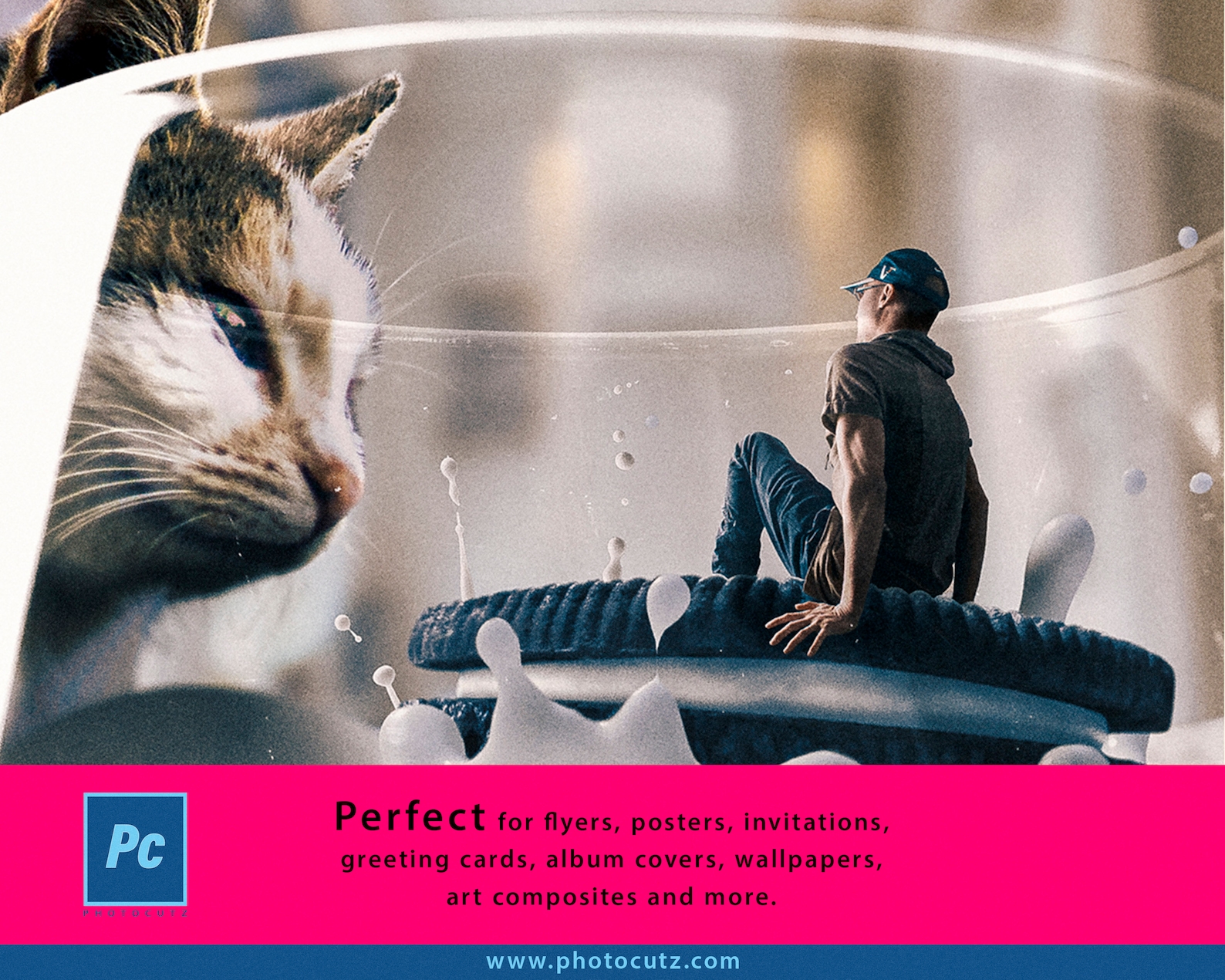 Cats High Res. Photoshop Photo PNG Cutouts Overlays Mini Pack | Etsy