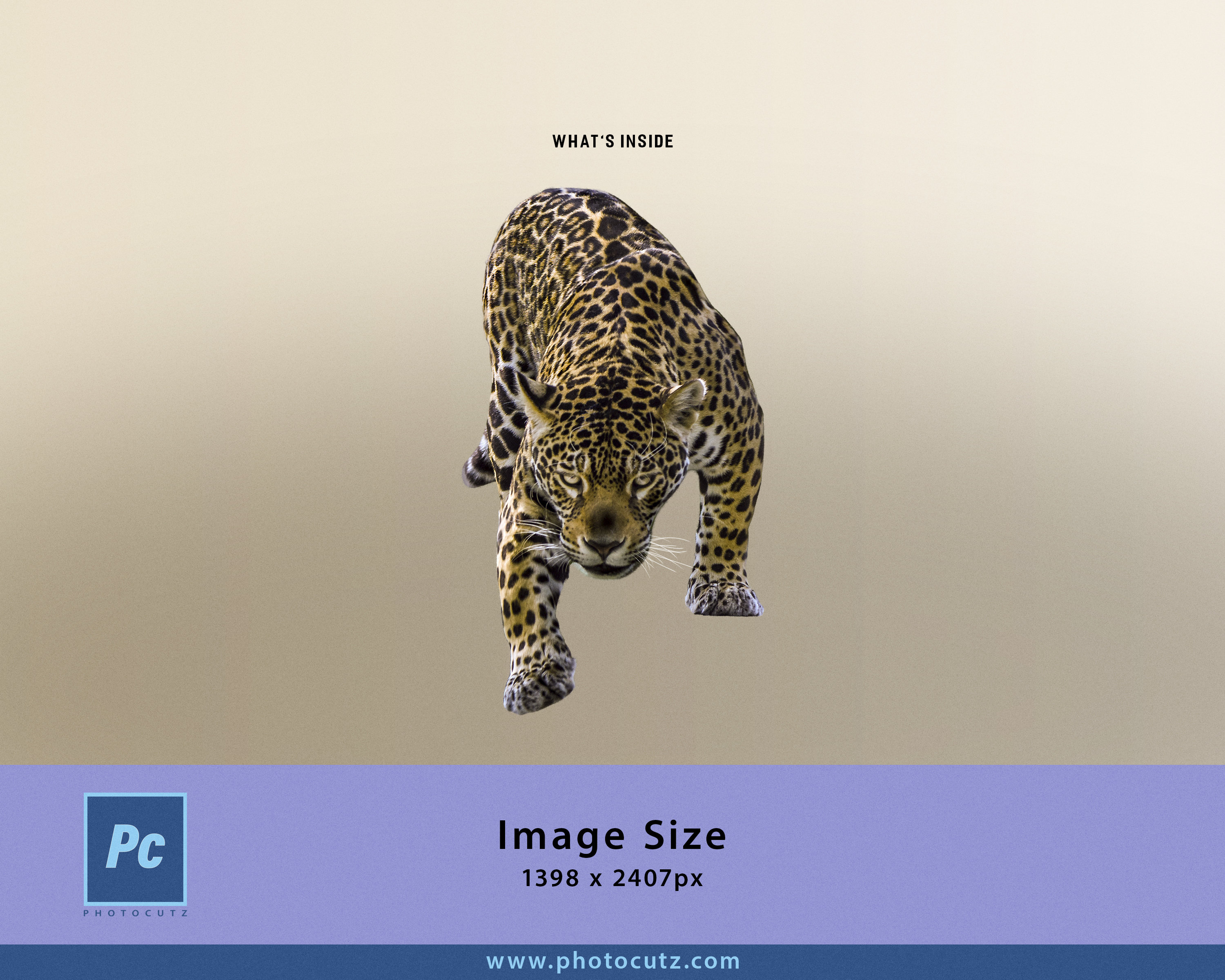 Jaguars High Res. Photoshop PNG Cutouts Overlays, Mini Pack Volume 1 ...