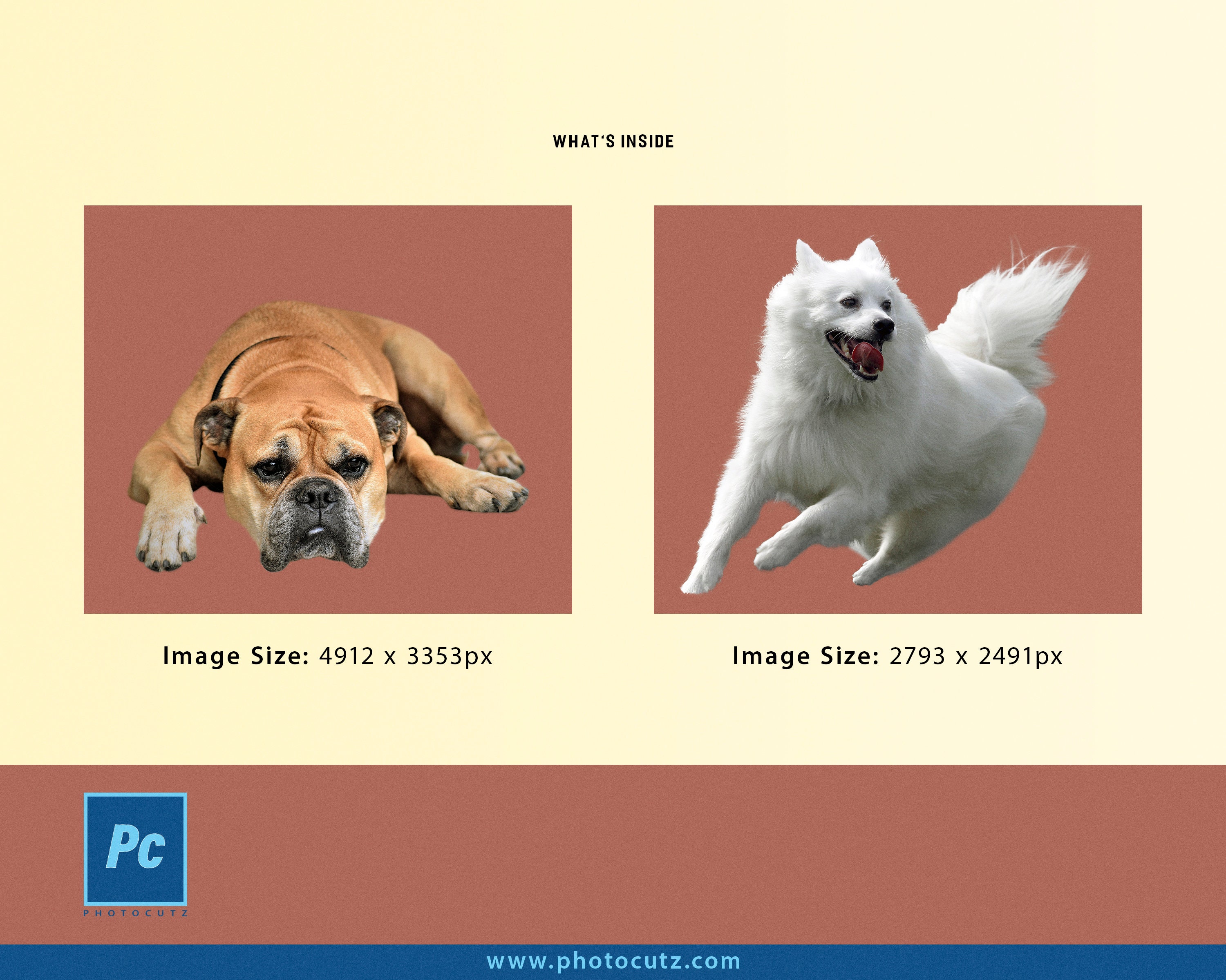 Dogs High Res. Photoshop Photo PNG Cutouts Overlays Mini Pack - Etsy