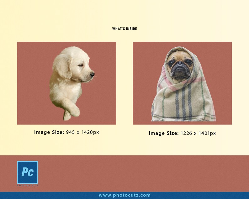 Dogs High Res. Photoshop Photo PNG Cutouts Overlays Mini Pack - Etsy