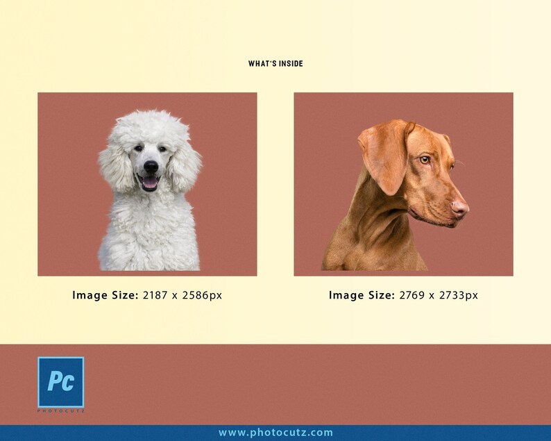 Dogs High Res. Photoshop Photo PNG Cutouts Overlays Mini Pack - Etsy