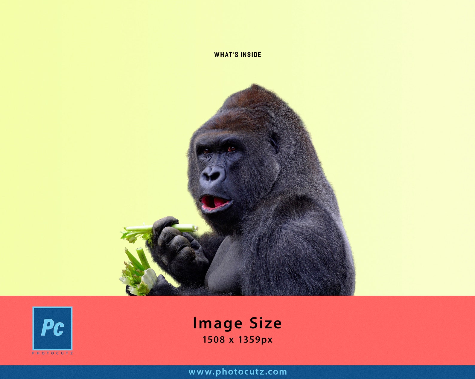 Gorillas, Apes, High Res. Photoshop PNG Cutouts Overlays, Mini Pack ...