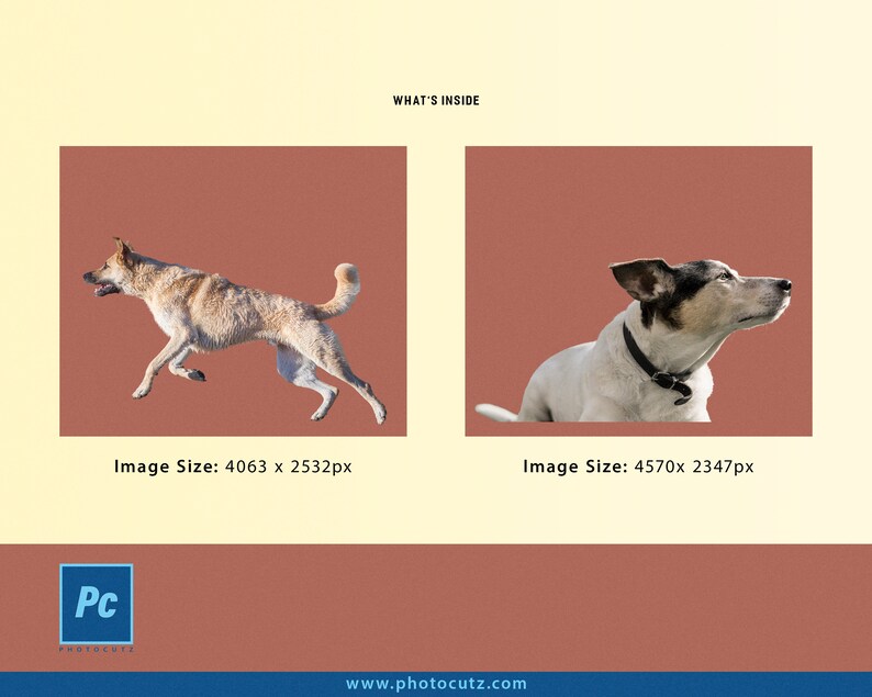 Dogs High Res. Photoshop Photo PNG Cutouts Overlays Mini Pack - Etsy