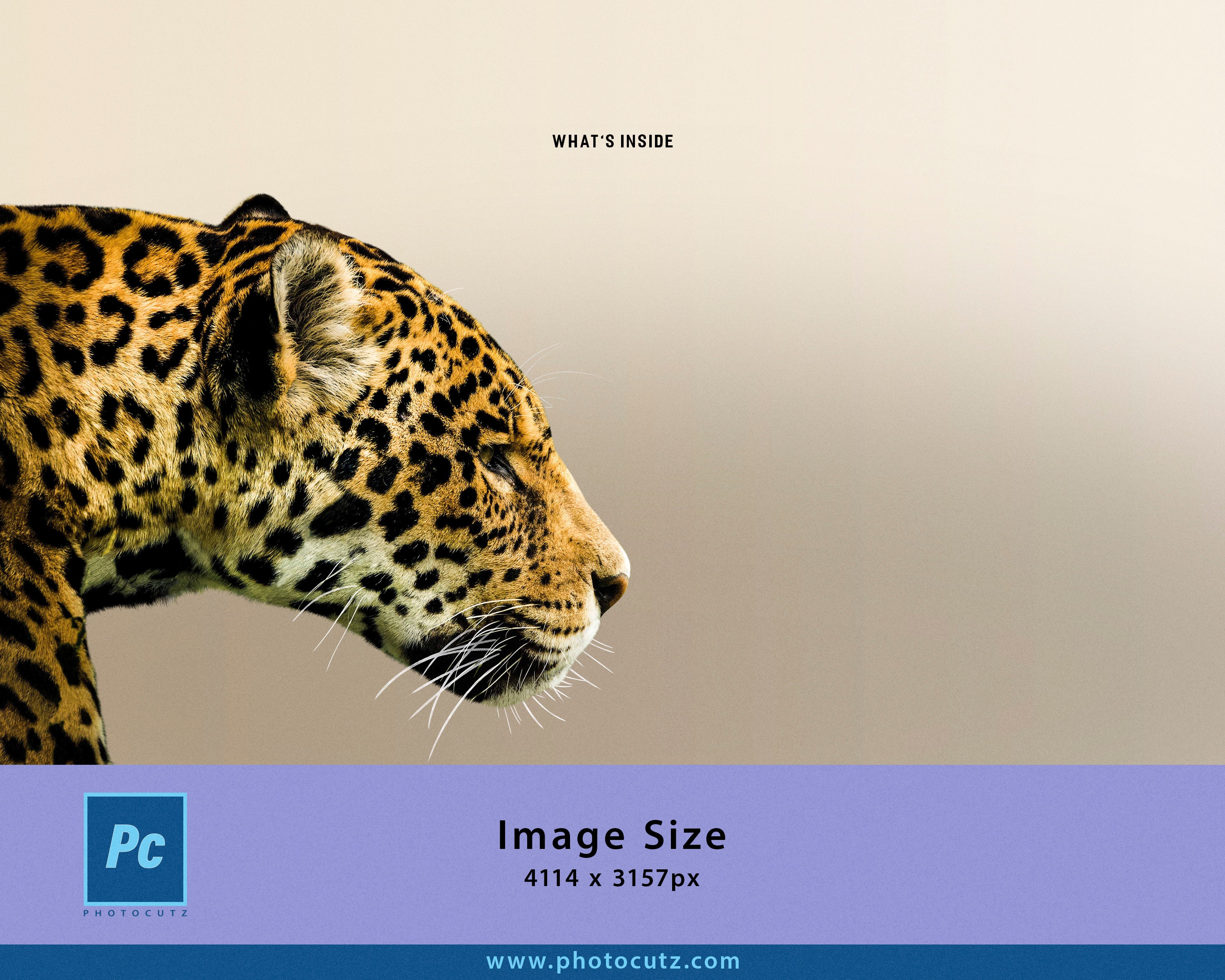 Jaguars High Res. Photoshop PNG Cutouts Overlays, Mini Pack Volume 1 ...