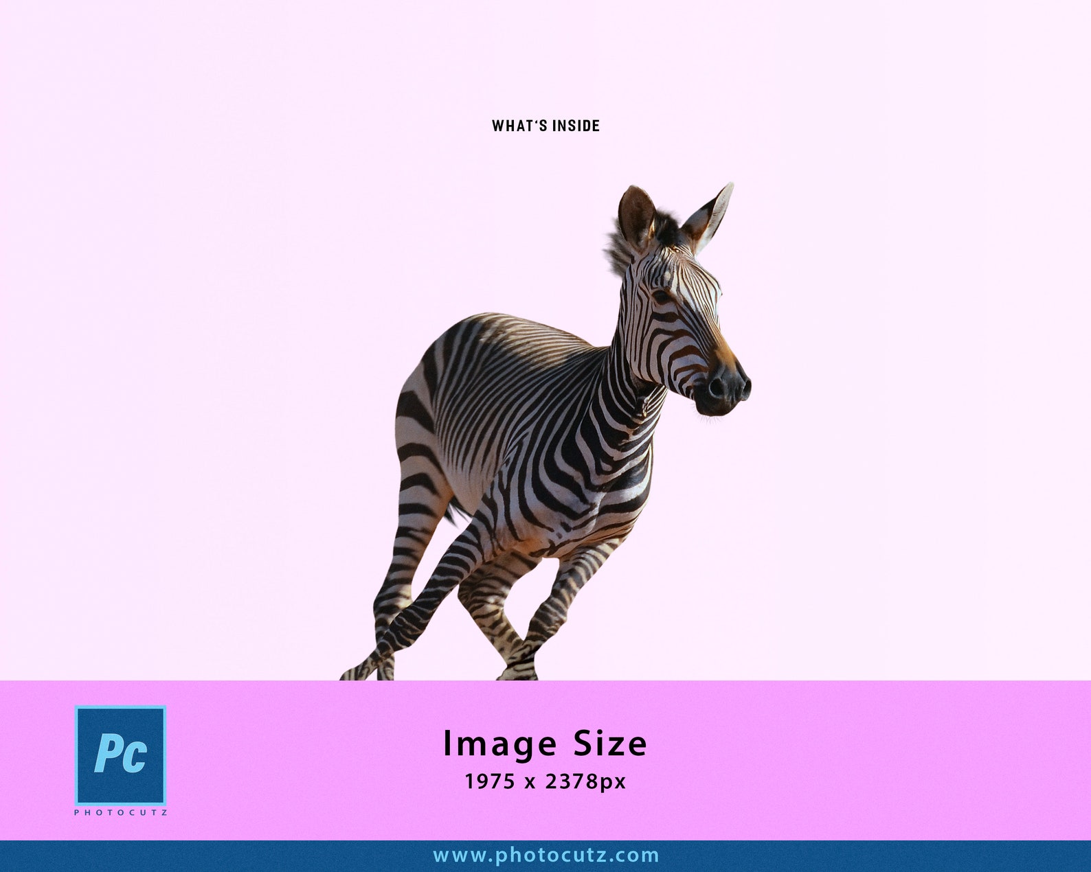 Zebras High Res. Photoshop PNG Cutouts Overlays, Mini Pack Volume 1 for ...