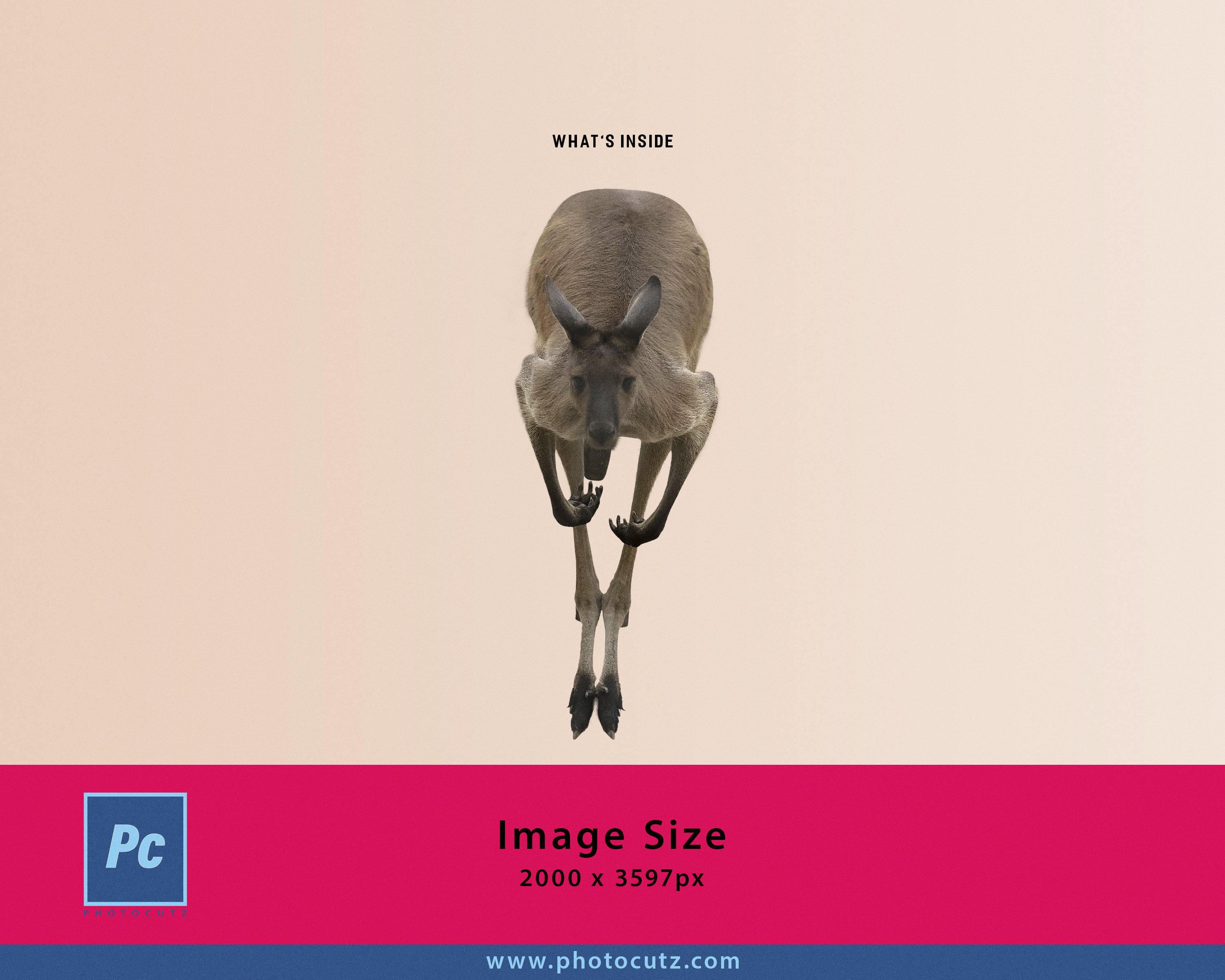 Kangaroos High Res. Photoshop PNG Cutouts Overlays Mini Pack | Etsy