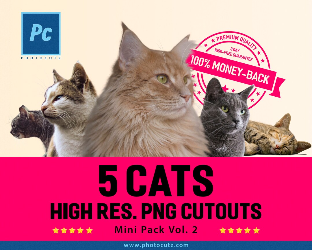 Cats High Res. Photoshop Photo PNG Cutouts Overlays, Mini Pack Volume 2 ...