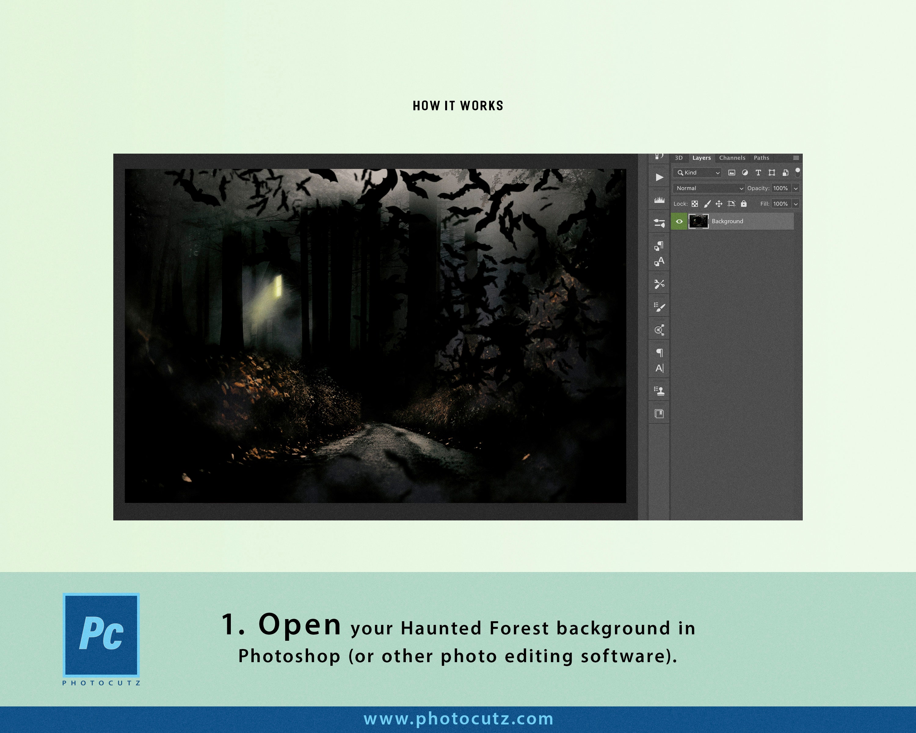 Haunted Forest Scary Halloween High Res. Photoshop Photo Composite ...