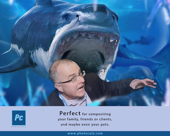 Shark Photoshop