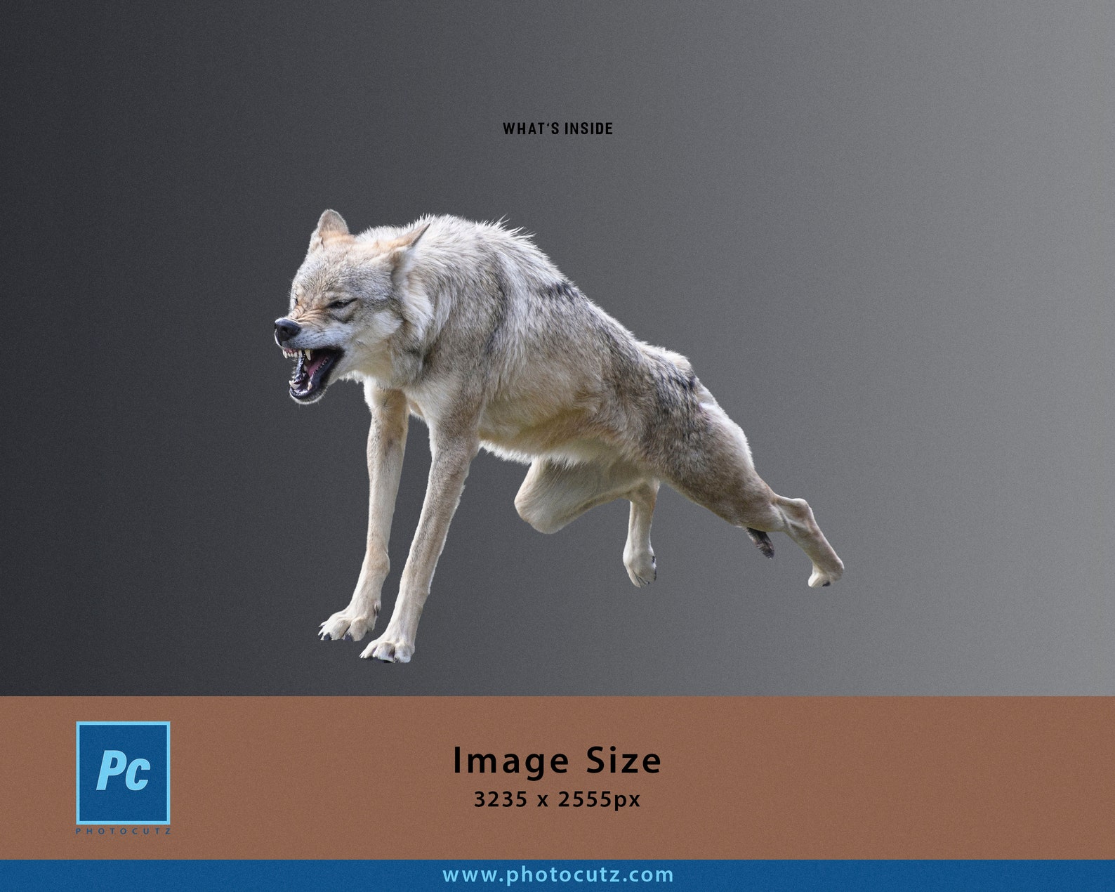 Wolves High Res. Photoshop PNG Cutouts Overlays, Mini Pack Volume 1 for ...