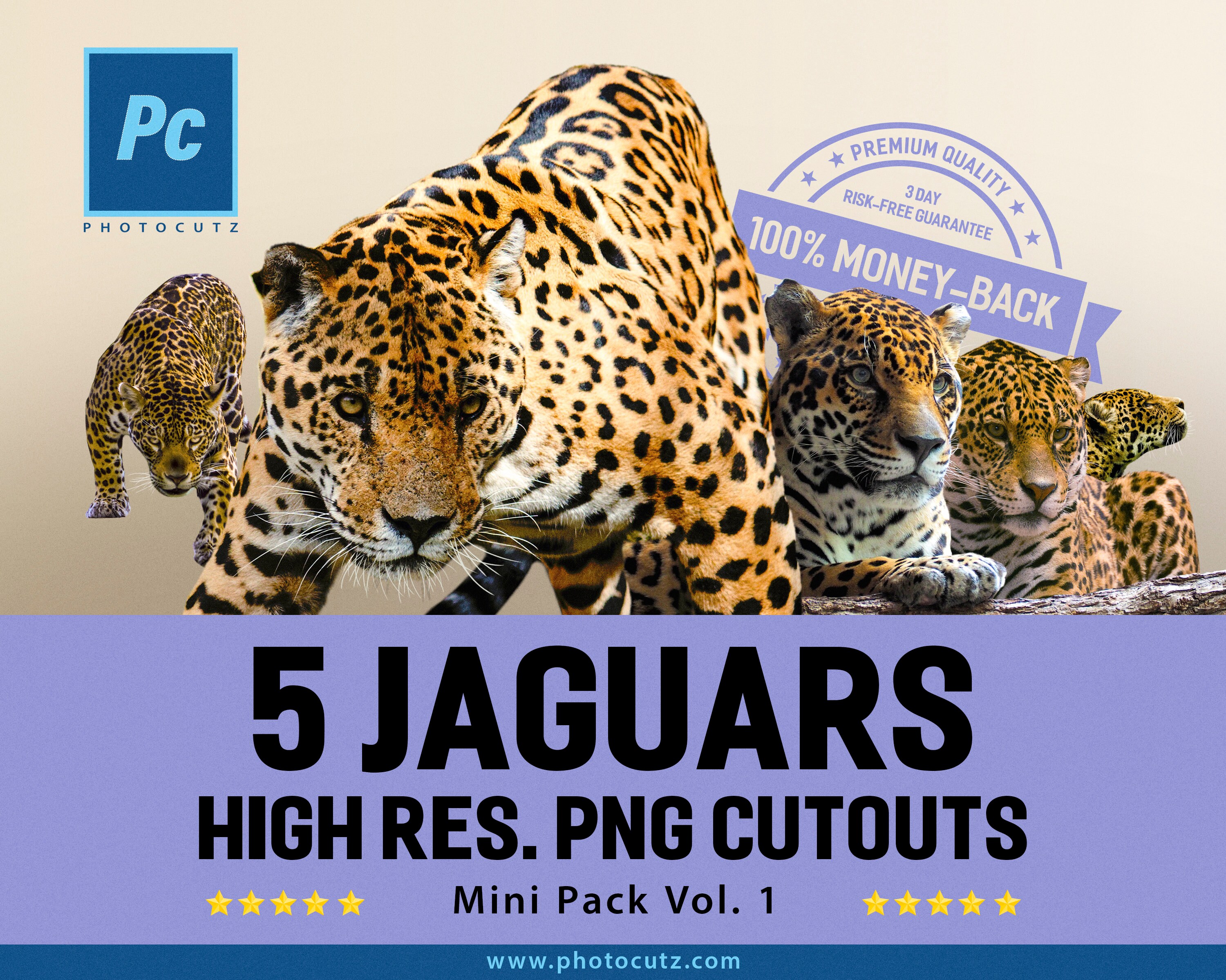 Jaguars High Res. Photoshop PNG Cutouts Overlays, Mini Pack Volume 1 ...