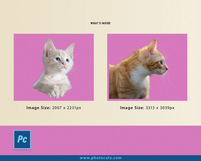 Cats High Res. Photoshop Photo PNG Cutouts Overlays, Mini Pack Volume 1 ...