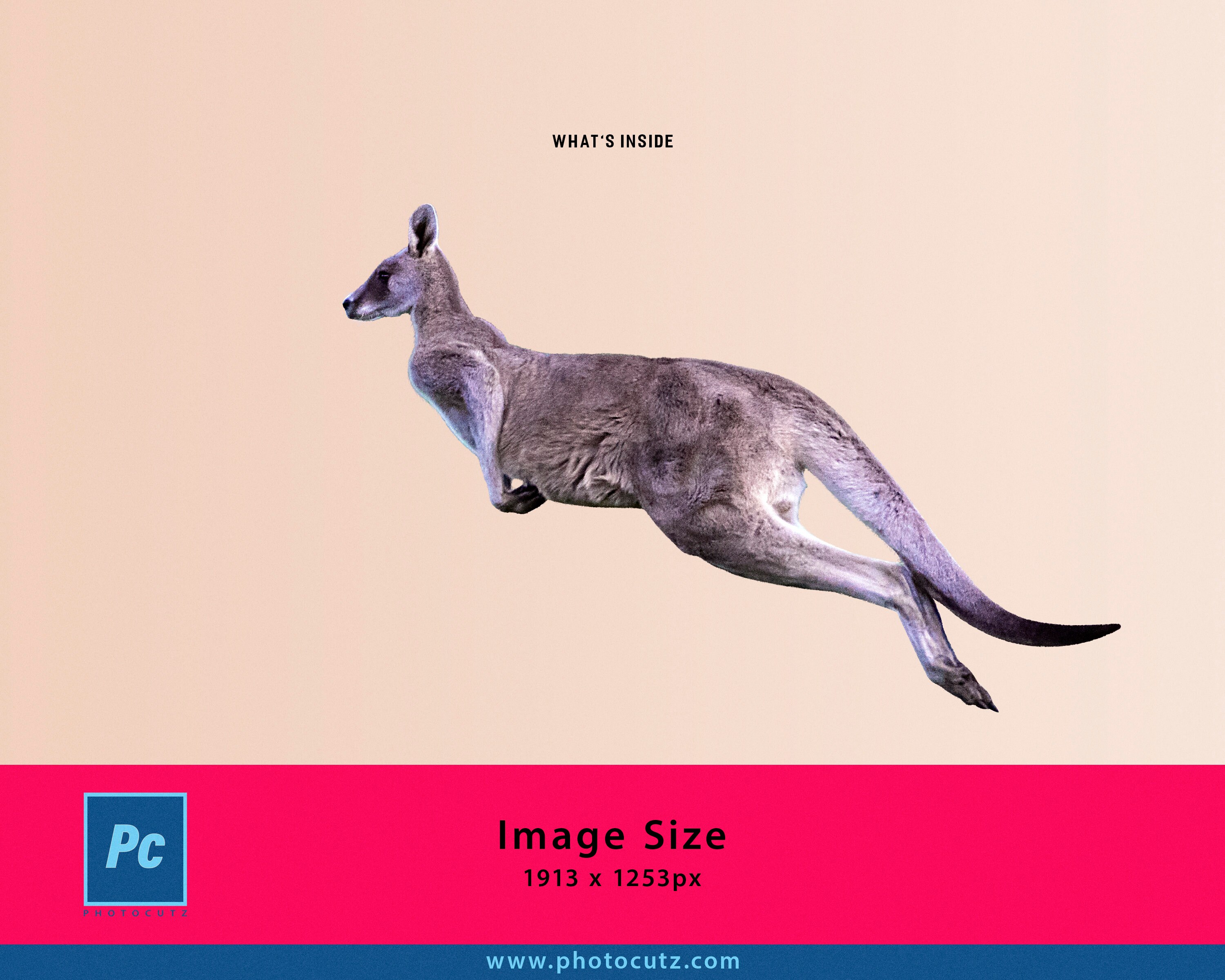 Kangaroos High Res. Photoshop PNG Cutouts Overlays Mini Pack | Etsy