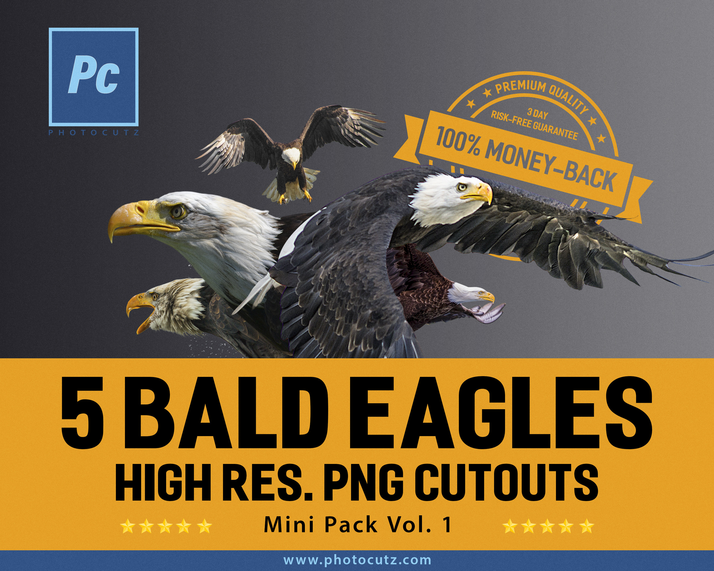 Bald Eagles High Res. PNG Photoshop Cutouts Overlays, Mini Pack Volume ...