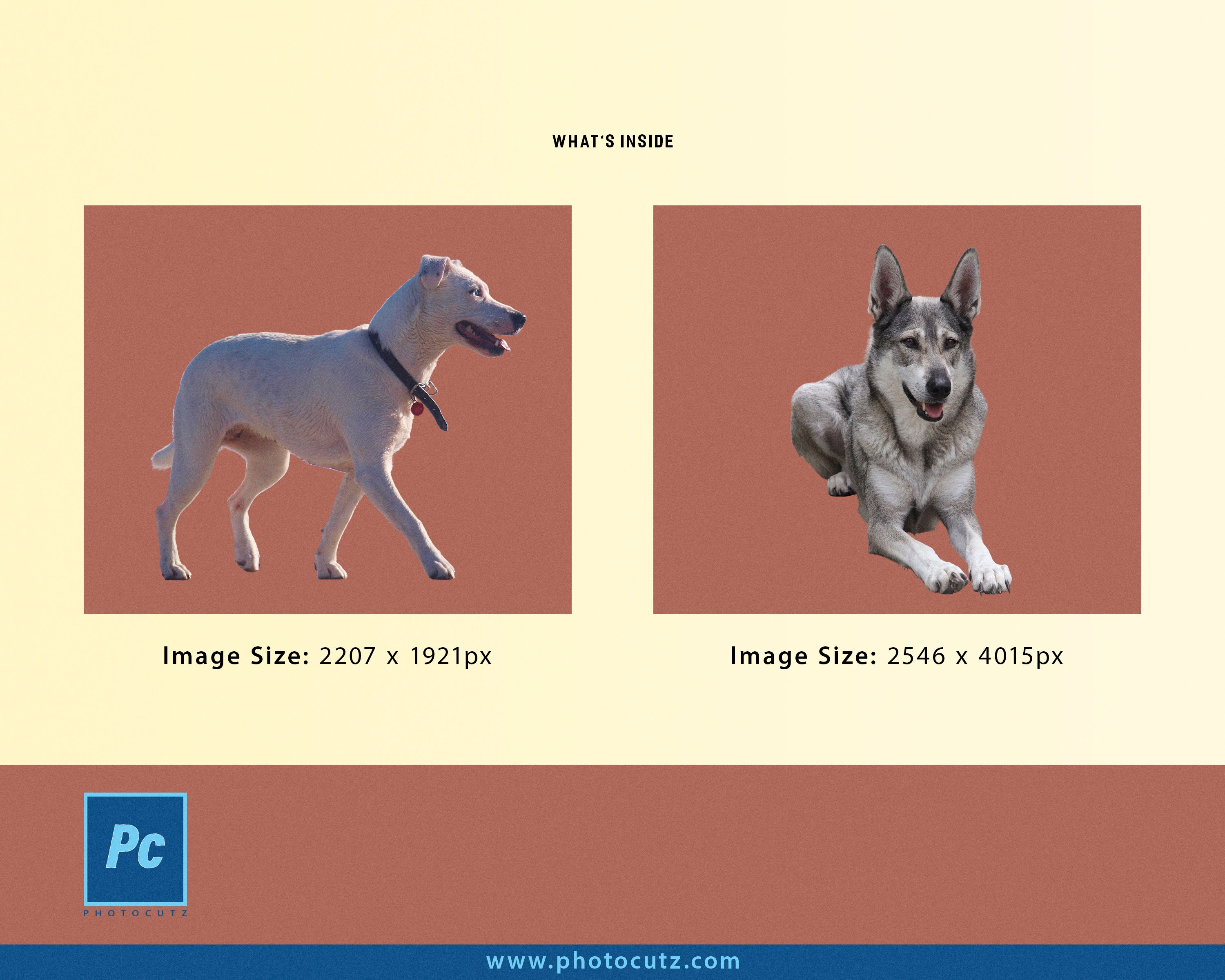 Dogs High Res. Photoshop Photo PNG Cutouts Overlays Mini Pack - Etsy